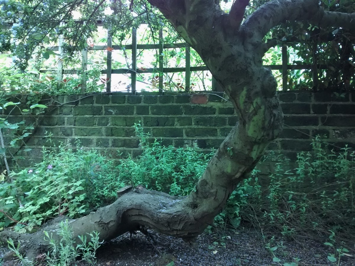 Chapter 2: The Qualities of the Abbot (1) – The Rule of Benedict